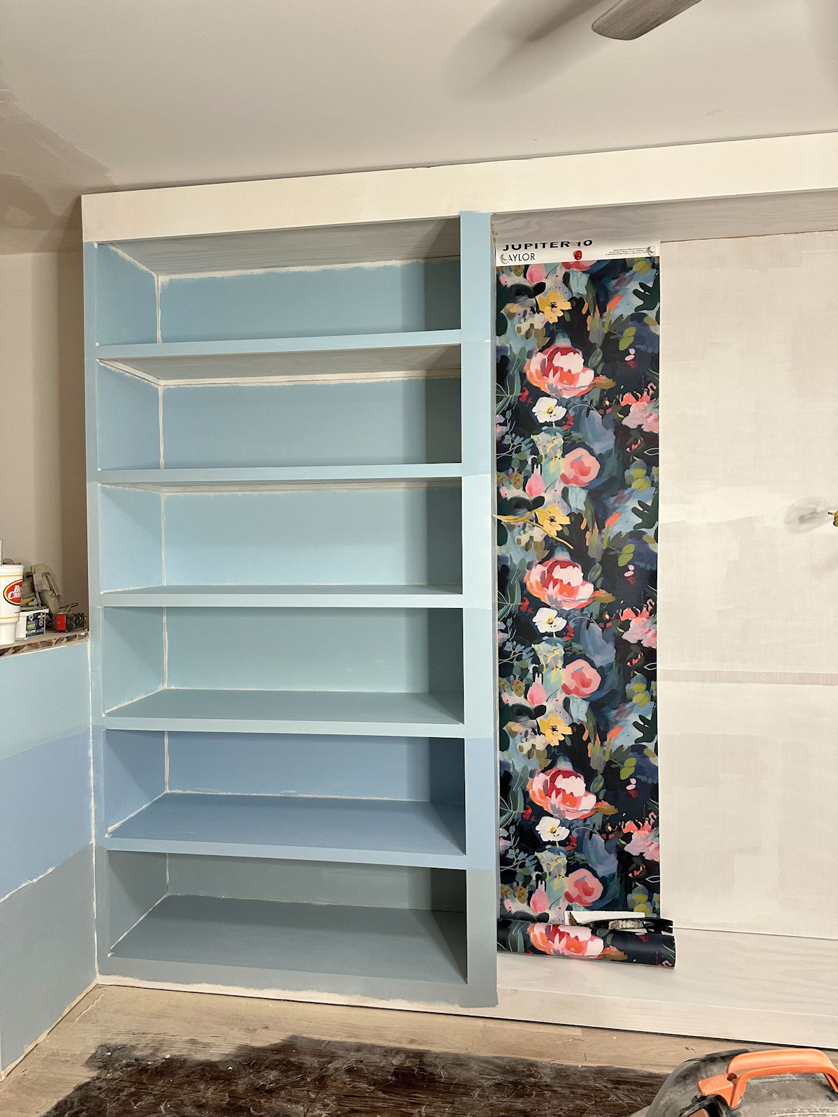 Walk-In Closet Paint Color Ideas - The Haute Houzz